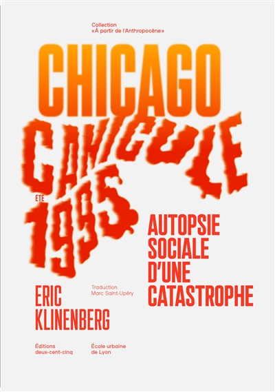 Chicago 1995, un avant-goût de l’avenir | Géographies en mouvement